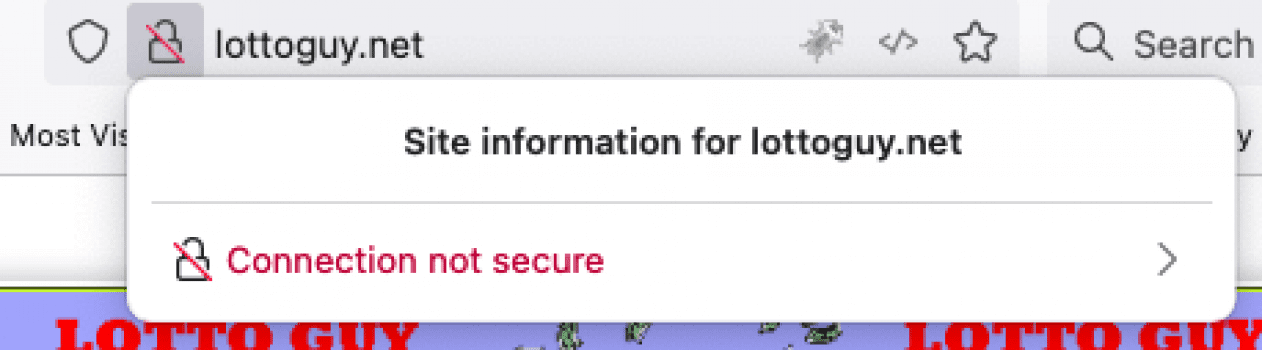 Lotto Guy Review - Lottery Expert